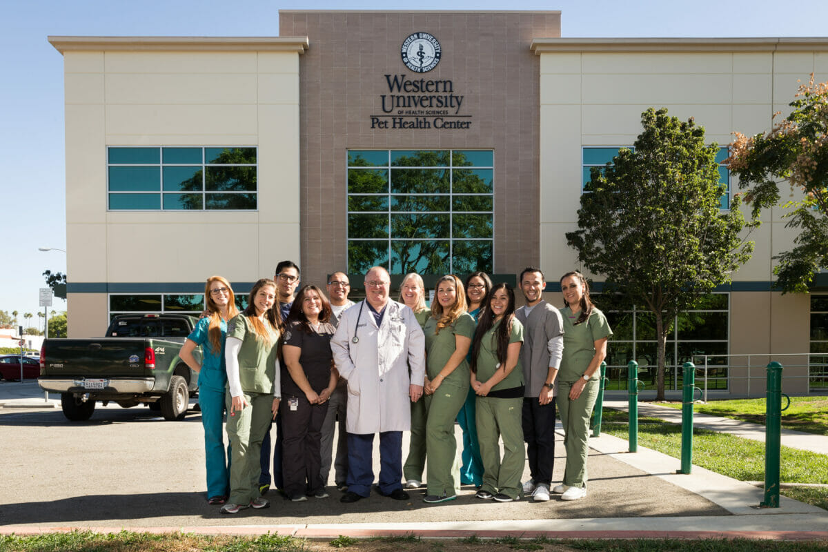 About the Pet Health Center | Pet Health Care