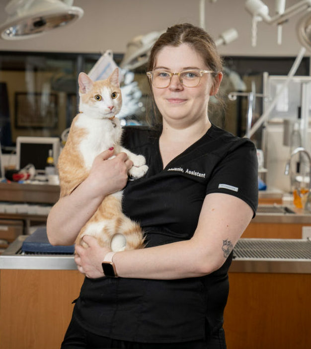 Clinical Staff | Pet Health Care