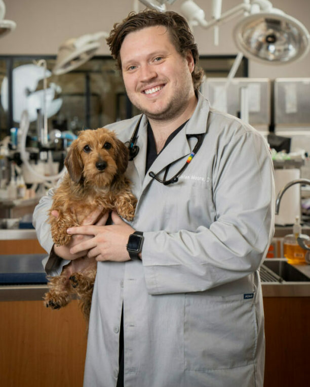 Veterinarians | Pet Health Care