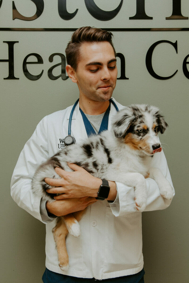 Academic Program Veterinarian Degrees Academic Program Veterinarian Degrees