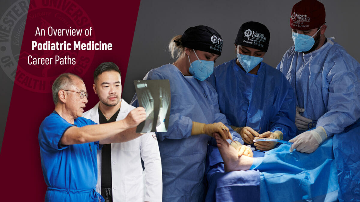 An Overview of Podiatric Medicine Career Paths
