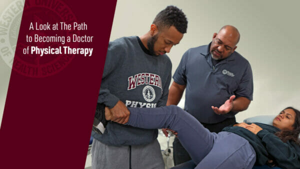 A Look at The Path to Becoming a Doctor of Physical Therapy